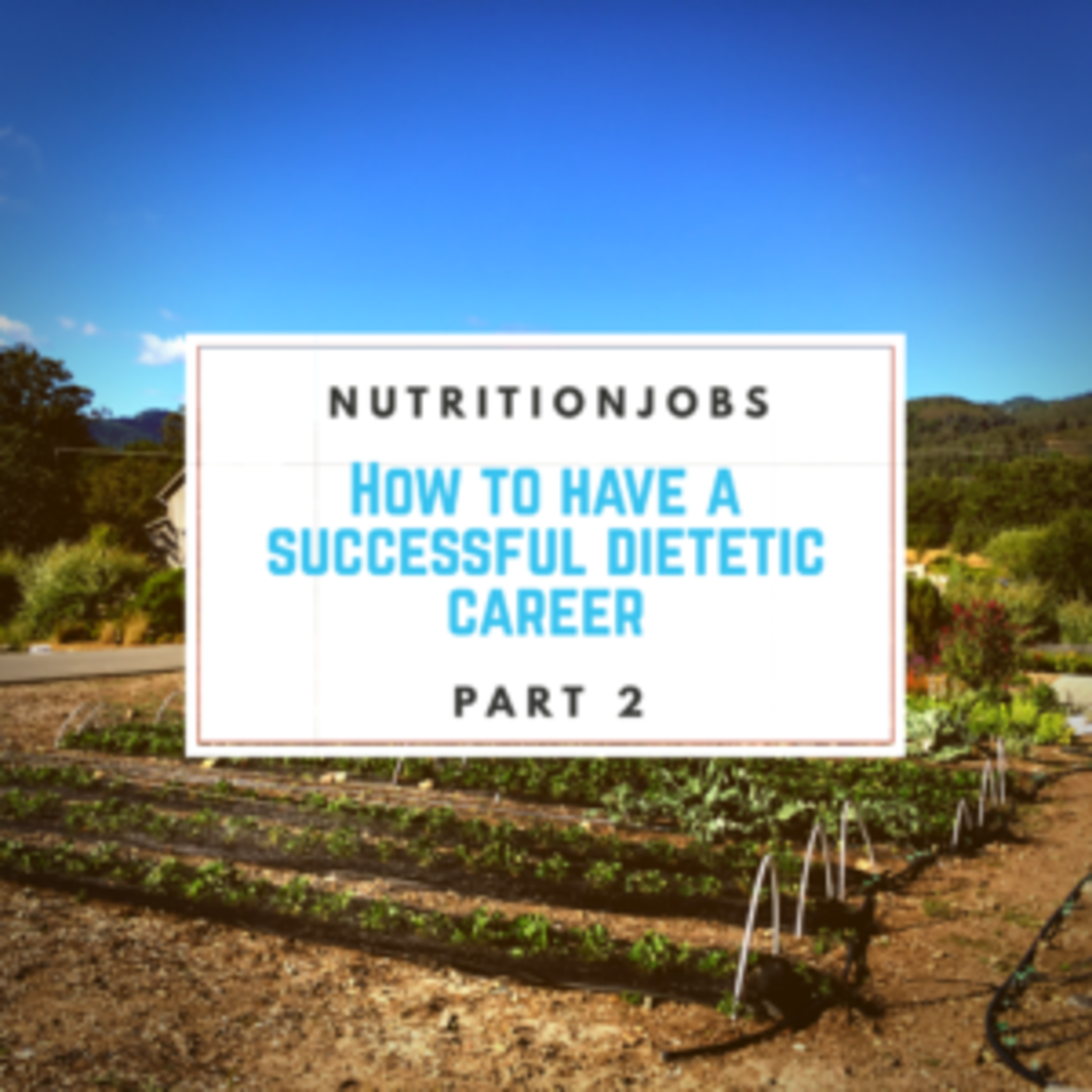NutritionJobs | Successful Dietetic Career – Pt 2 of 3 | NutritionJobs